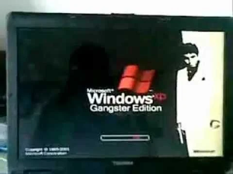 Windows XP Gangster Edition | ZCCB Wiki | Fandom