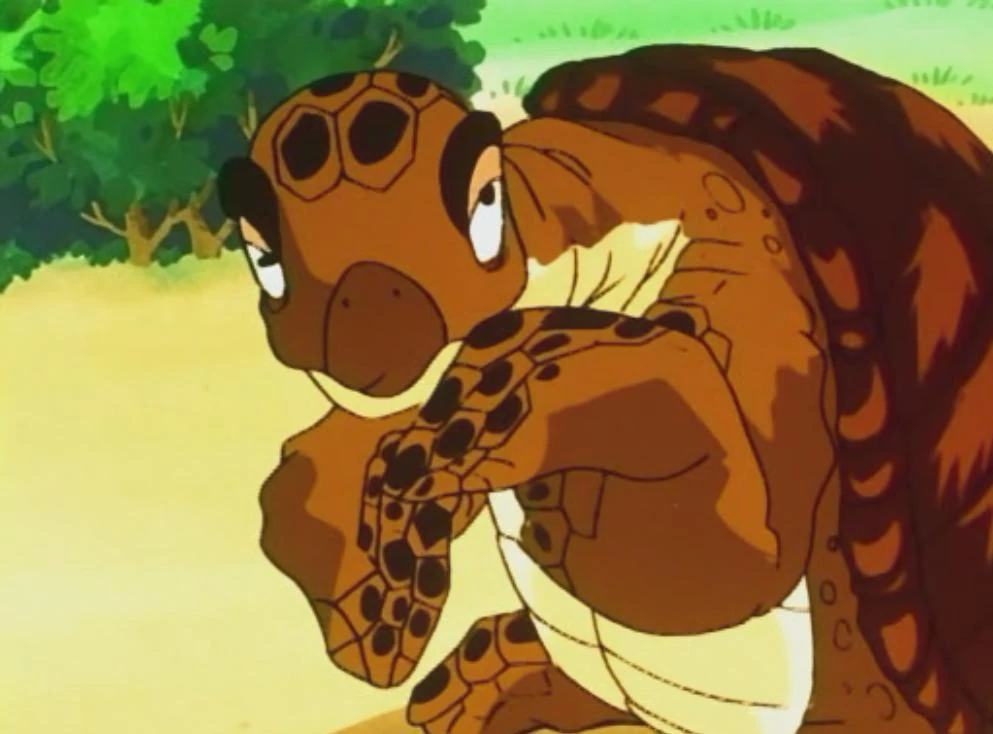 Turtle | Z-Crushers Strike Force Wiki | Fandom