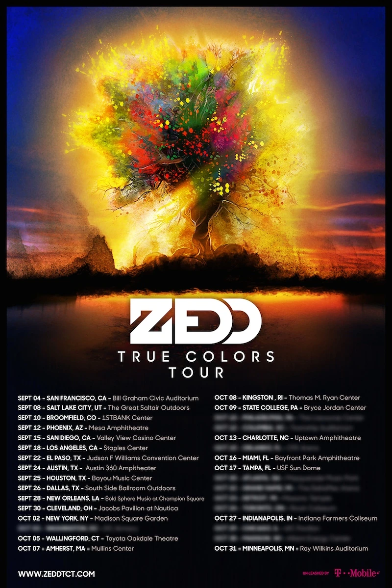 Zedd Concert