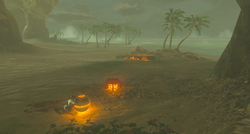 Puffer Beach | Zeldapedia | Fandom