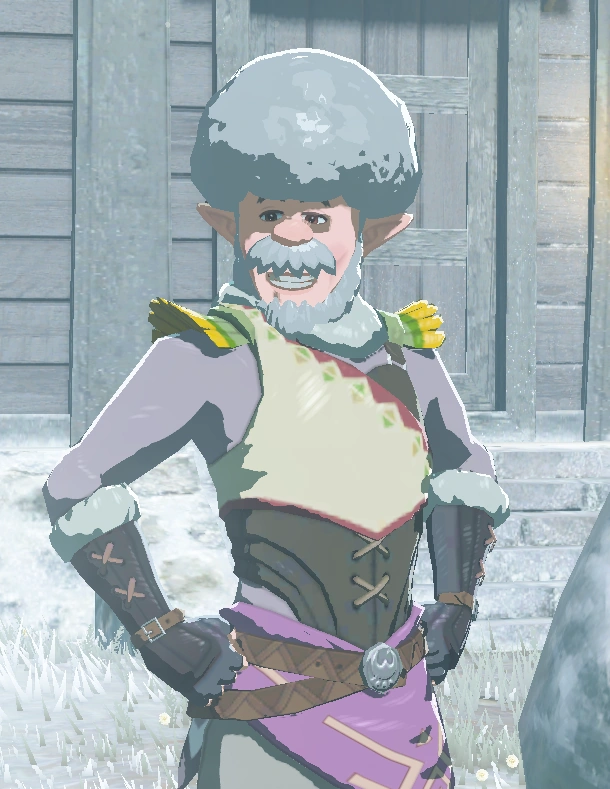 Pondo | Zeldapedia | Fandom