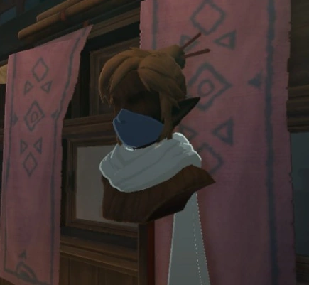 Stealth Mask | Zeldapedia | Fandom