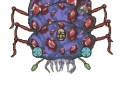 Beetle King Death Bug | Zeldapedia | Fandom