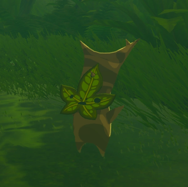 Kuoy | The Legend of Zelda Wiki | Fandom