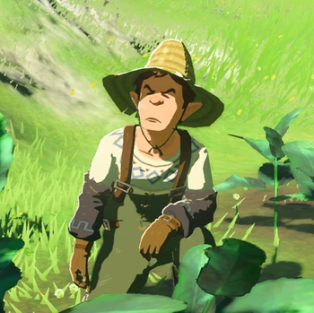 Narkin | The Legend of Zelda Wiki | Fandom