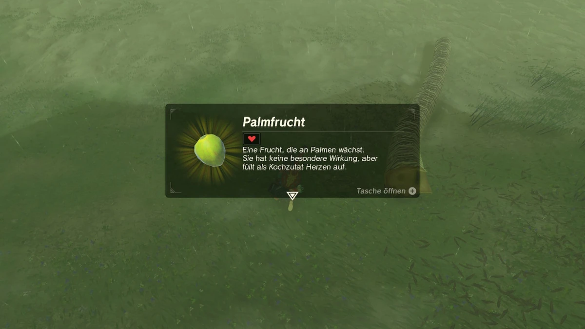 Palmfrucht | Zeldapedia | Fandom