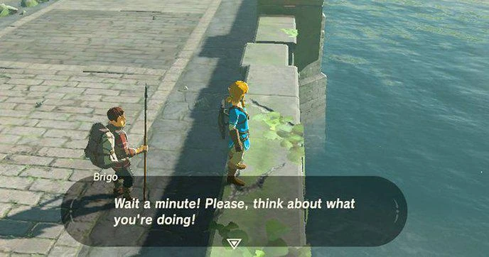 Proxim Bridge | Zeldapedia | Fandom