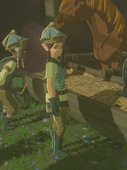 Fana | The Legend of Zelda Wiki | Fandom