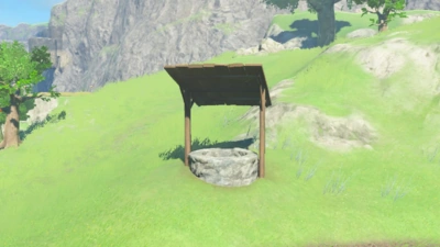 Puits (Tears of the Kingdom) | ZeldaWiki | Fandom