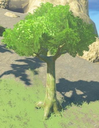 Árbol impostor | The Legend of Zelda Wiki | Fandom