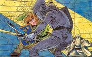 Link Oscuro | The Legend of Zelda Wiki | Fandom