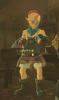 Sayge | Zeldapedia | Fandom