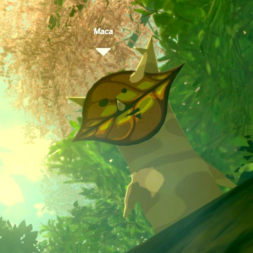 Maca | Zeldapedia | Fandom