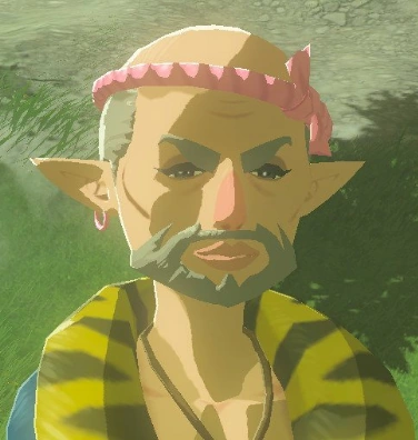 Bolson | Zeldapedia | Fandom