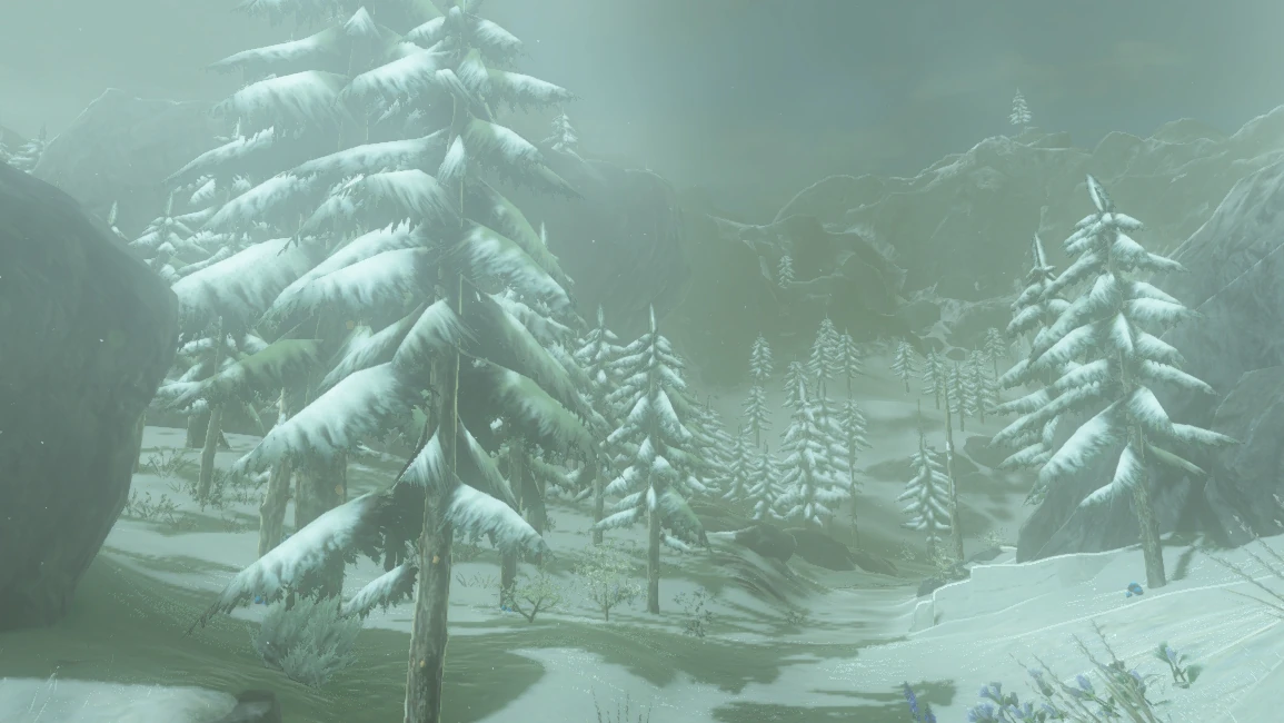 Naydra Snowfield | Zeldapedia | Fandom