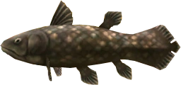 Ancient Fish | Zeldapedia | Fandom