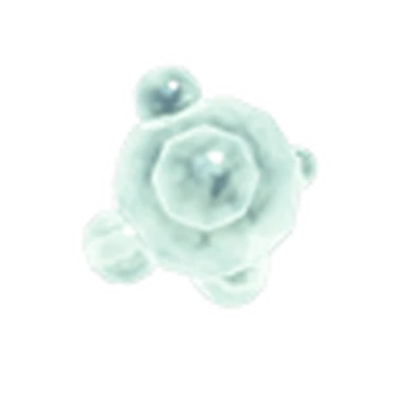 how to cook chuchu jelly