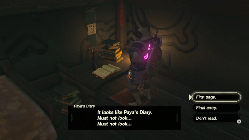 Paya's Diary | Zeldapedia | Fandom