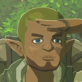 Garill | Zeldapedia | Fandom