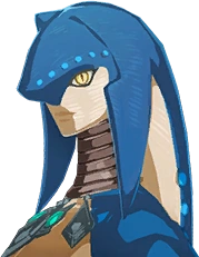 Elin | The Legend of Zelda Wiki | Fandom