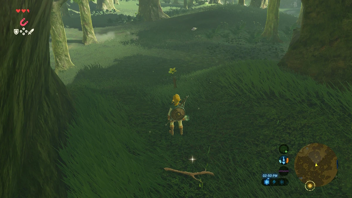 Forest of Spirits | Zeldapedia | Fandom