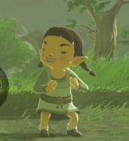 Narah | Zeldapedia | Fandom