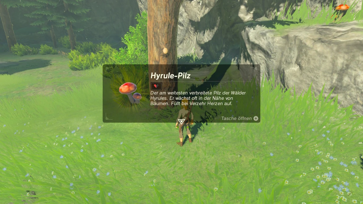 Hyrule-Pilz | Zeldapedia | Fandom