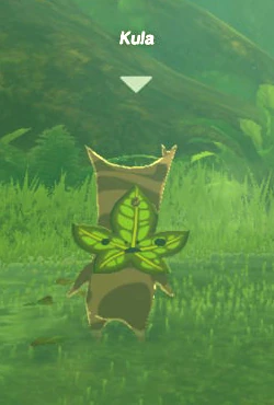 Kula | Zeldapedia | Fandom