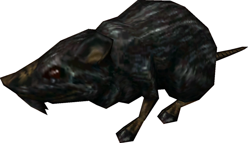 Rata | The Legend of Zelda Wiki | Fandom