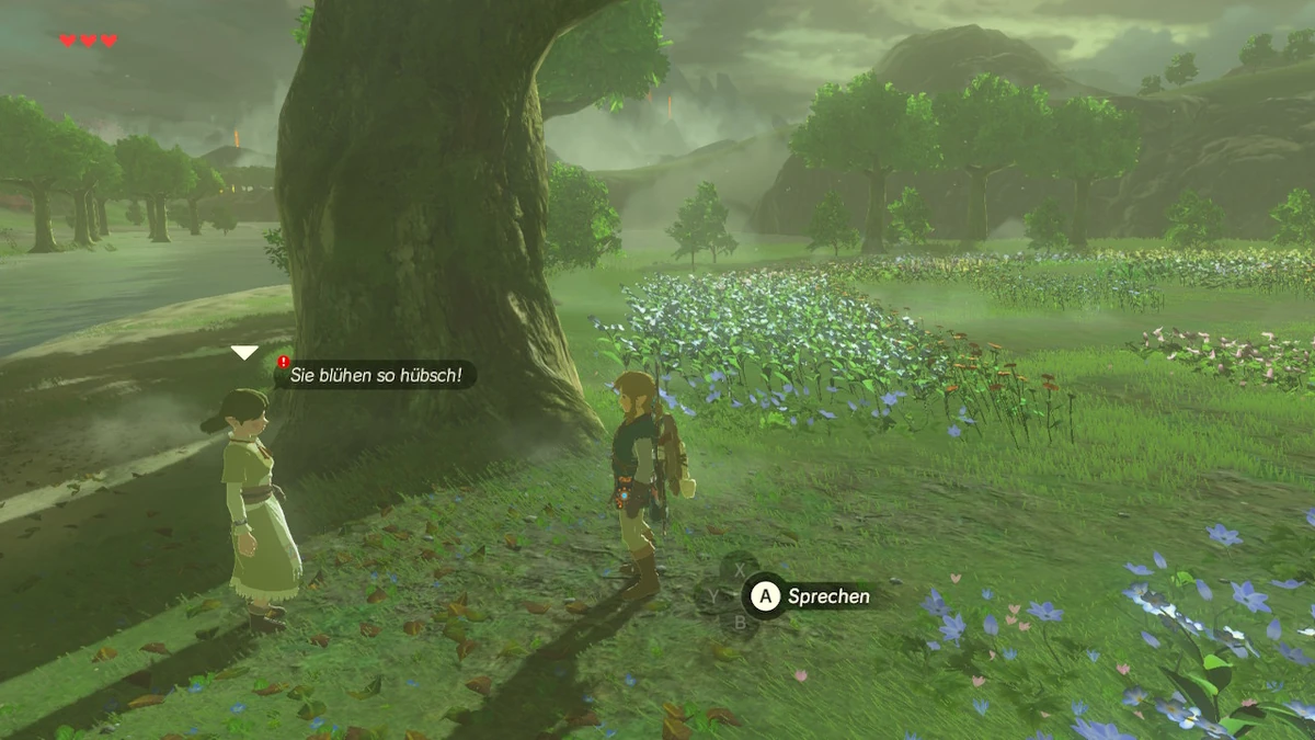 Ocoba | Zeldapedia | Fandom