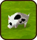 Moink | Zeldapedia | Fandom