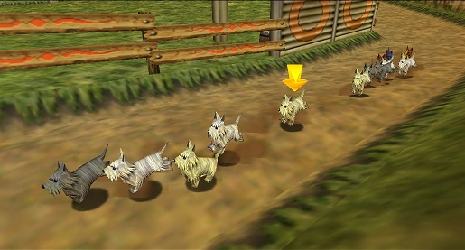Doggy Racing | Zeldapedia | Fandom