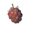 Roasted Wildberry | Zeldapedia | Fandom