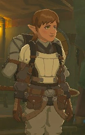 Roblico | ZeldaWiki | Fandom