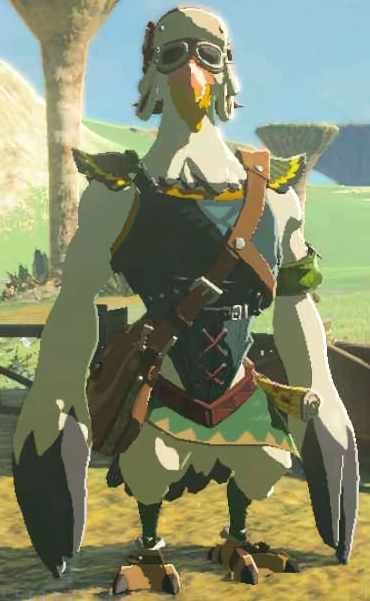 Penn | ZeldaWiki | Fandom