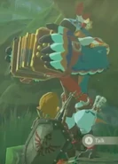 Kass | Zeldapedia | Fandom