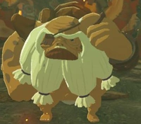 Bludo | Zeldapedia | Fandom