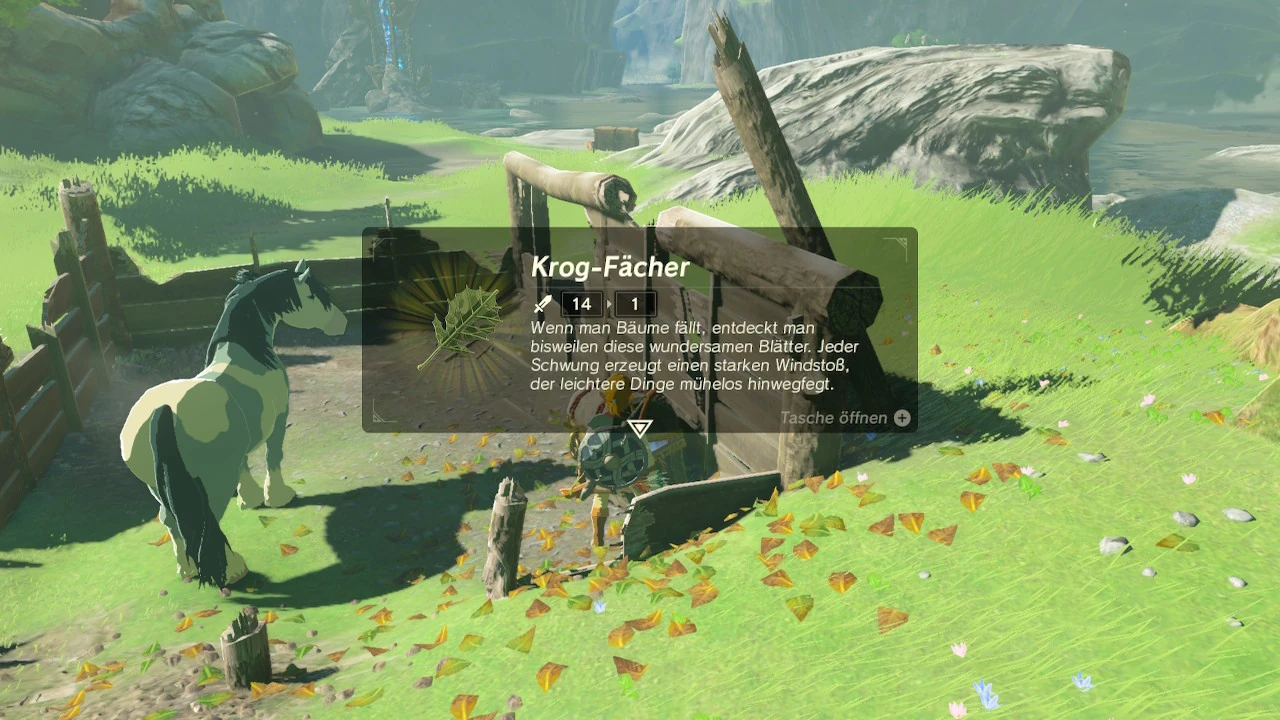 Krog-Fächer | Zeldapedia | Fandom