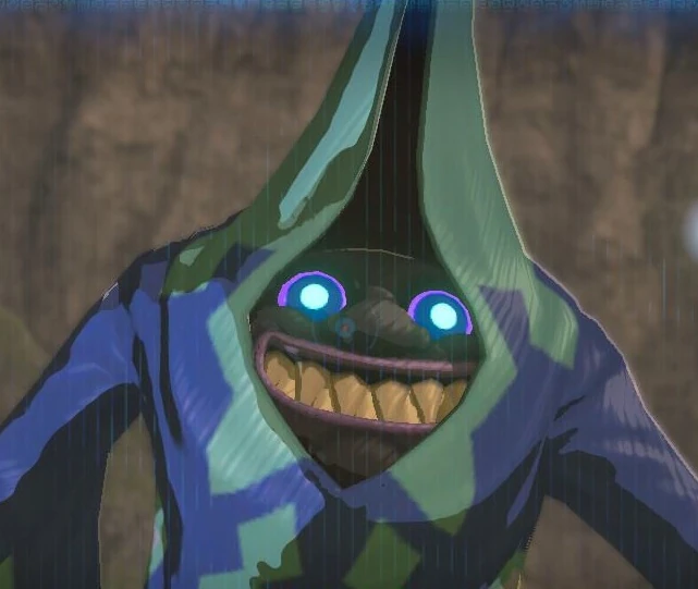 Invocantis glacial | The Legend of Zelda Wiki | Fandom