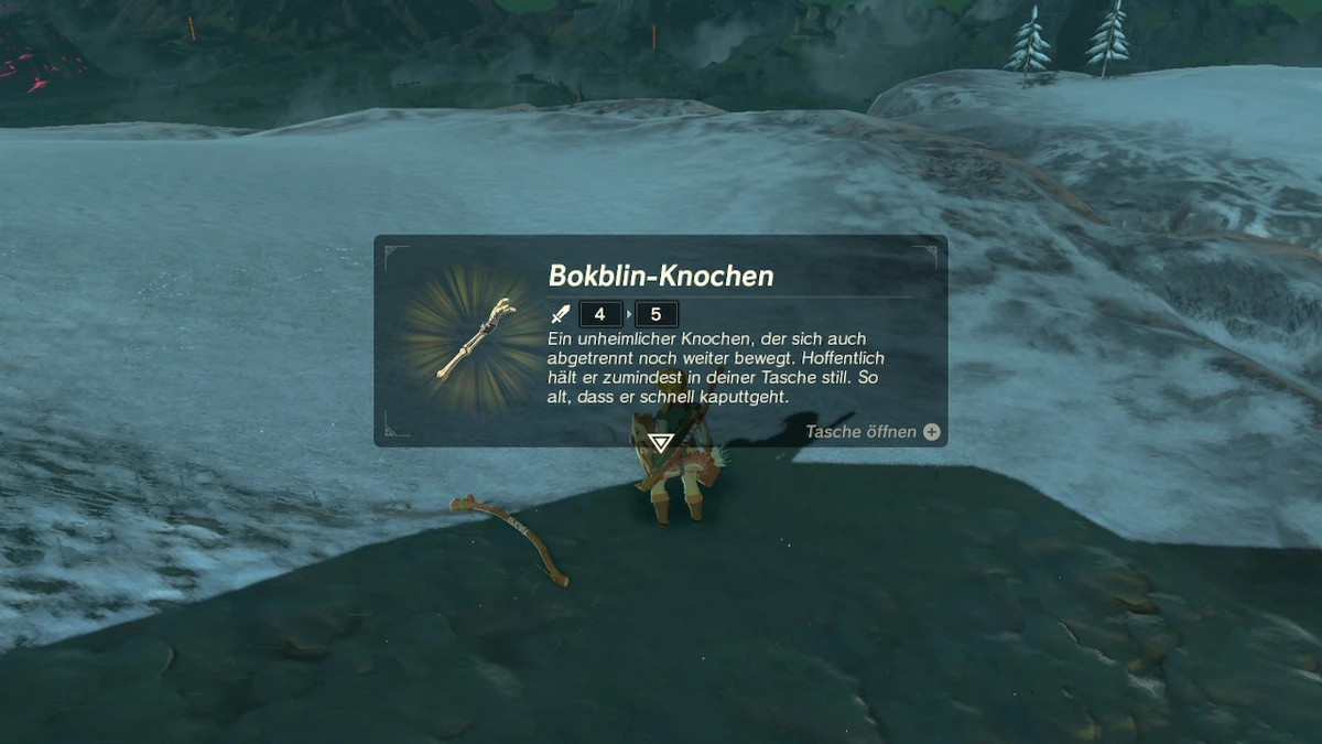Bokblin-Knochen | Zeldapedia | Fandom
