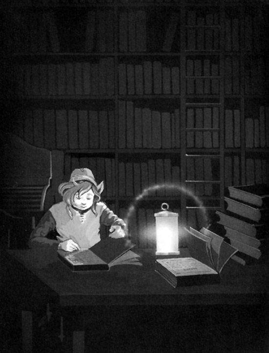 House of Books | Zeldapedia | Fandom