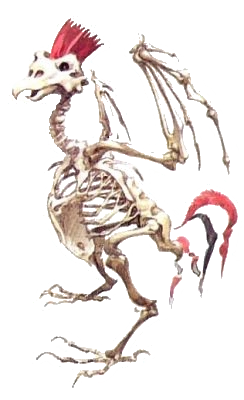 Bone Cucco | Zeldapedia | Fandom