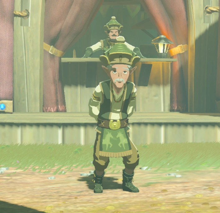 Saín | The Legend of Zelda Wiki | Fandom