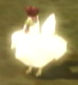 Cucco Leader | Zeldapedia | Fandom