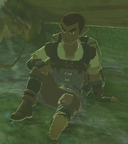 Fin | Zeldapedia | Fandom