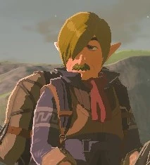 Dianel | ZeldaWiki | Fandom