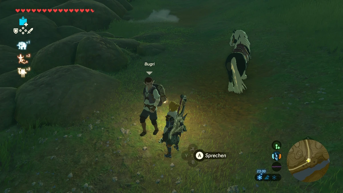 Bugri | Zeldapedia | Fandom