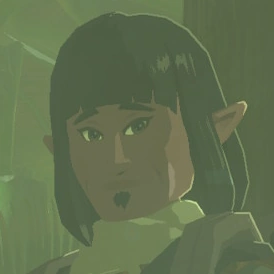 Spinch | Zeldapedia | Fandom