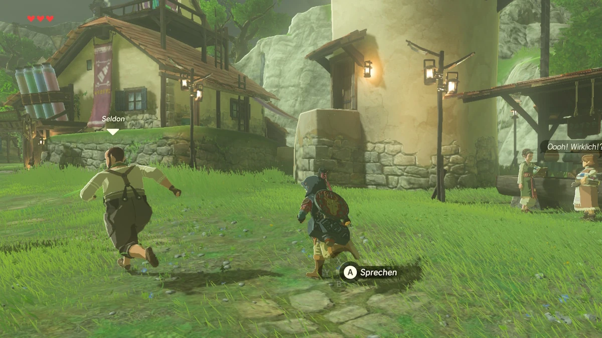 Seldon | Zeldapedia | Fandom