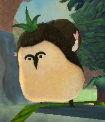 Kikwi | Wiki Zelda | Fandom